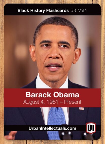 Black History Flashcards, Vol 1, 2, 3, 4, 5 - Five deck bundle offer ...
