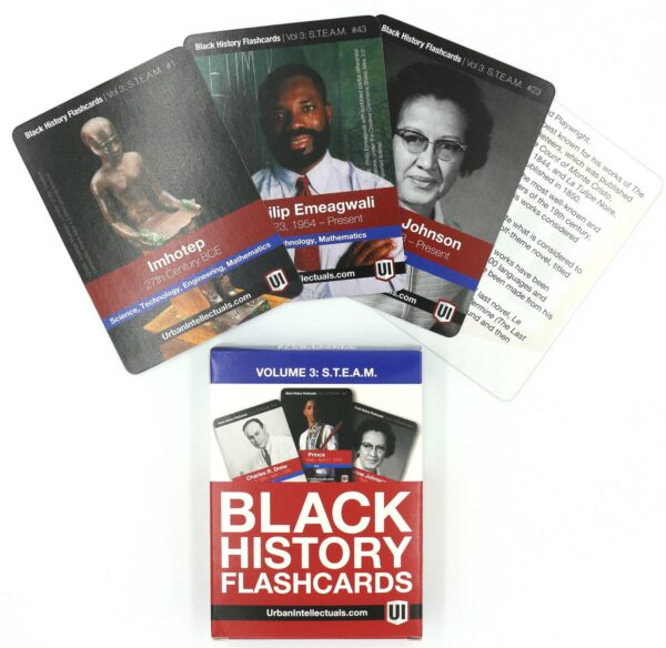 Black History Flashcards Vol 3 and 4 (STEAM and Pre-1492 bundle offer ...